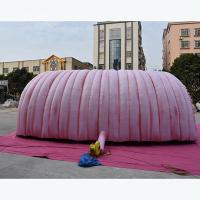 China Customized Popular  design advertising intestine tunnel inflatable colon tent for sale