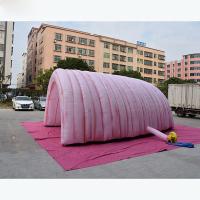 China Customized Popular  design advertising intestine tunnel inflatable colon tent for sale