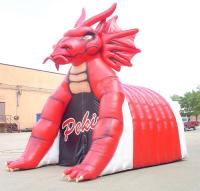 China Customized PVC Tarpaulin Inflatable Mascot Helmet Tunnel Tent 7.6m for Events for sale
