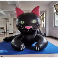China Beile Inflatable custom PVC cartoon black cat suit for recreation for sale