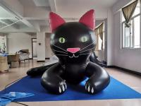 China Beile Inflatable custom PVC cartoon black cat suit for recreation for sale