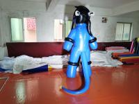 China beile custom inflatables quality PVC angel dragon suit for recreation for sale