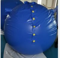 China Custom Round PVC Inflatable Blueberry Ball Suit 1.5m 1.7m Diameter for Party Promotion for sale