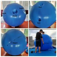 China Custom Round PVC Inflatable Blueberry Ball Suit 1.5m 1.7m Diameter for Party Promotion for sale