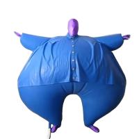 China Beile customized quality PVC inflatable blueberry ball suit for adult for sale
