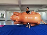 China Custom PVC Inflatable Leopard 2.5m Cartoon Animal for Party Promotion for sale
