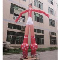 China Custom Sky Dancer Inflatable Air Dancer 6m Advertising Inflatable for Promotion for sale