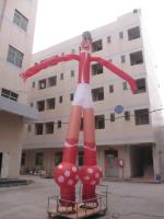 China Custom Sky Dancer Inflatable Air Dancer 6m Advertising Inflatable for Promotion for sale