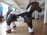 China Giant PVC Black Inflatable Horse Farm Animal Model 0.4mm Custom Size for Outdoor Decoration for sale