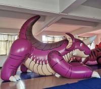 China Factory customized 3m long  advertising inflatable  Kaiji dragon for sale