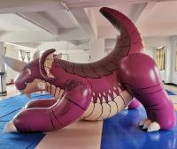 China Factory customized 3m long  advertising inflatable  Kaiji dragon for sale