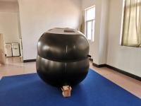 China Beile Custom High Quality PVC Inflatable Black Body Ball Suit for sale