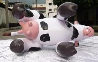 China Custom PVC Inflatable Giant Dairy Cow 2m Long for Advertising Promotion for sale