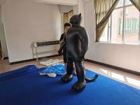 China Customized PVC Inflatable Black Tiger Costume Suit Adult Size 14kg for Party Promotion for sale
