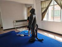 China Customized PVC Inflatable Black Tiger Costume Suit Adult Size 14kg for Party Promotion for sale