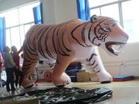 China Custom PVC Inflatable Tiger Model 1.5m Long for Advertising Promotion Party Decoration for sale
