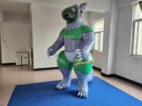 China beile  customize cartoon giant  PVC inflatable monster protogen dragon for sale