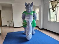 China beile  customize cartoon giant  PVC inflatable monster protogen dragon for sale