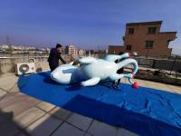 China Beile Customized PVC Inflatable Dragon With Wings For Advertising Decoration for sale