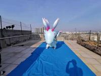 China Beile Customized PVC Inflatable Dragon With Wings For Advertising Decoration for sale