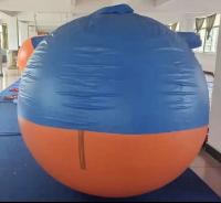 China Custom PVC Inflatable Blueberry Ball Suit 1.5M 1.7M Adult Toy for sale