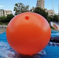 China Custom PVC Inflatable Blueberry Ball Suit 1.5M 1.7M Adult Toy for sale