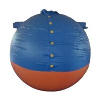 China Custom PVC Inflatable Blueberry Ball Suit 1.5M 1.7M Adult Toy for sale