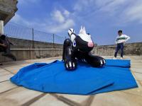 China Custom Cartoon Animal PVC Inflatable Skunk 2m Long for Party Promotion for sale