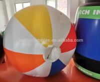 China BeiLe Customized PVC Inflatable Blueberry Suit For Role Play for sale