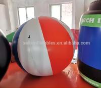 China BeiLe Customized PVC Inflatable Blueberry Suit For Role Play for sale