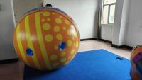 China Hot sale PVC inflatable rolling ball suit bouncing inflatable suit for sale