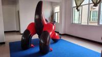 China beile pvc inflatable dragons 2.5m long red Aaron dragon inflatable animals for sale