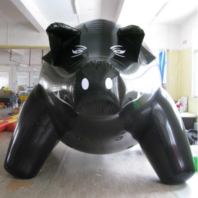 China Wholesale Customized Beile Giant PVC Inflatable Black Pig 3.5m for Advertising for sale