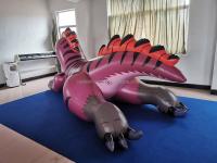 China HOT sale quality PVC Inflatable raptor dragon  models for sale