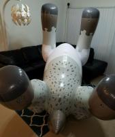 China Customized PVC Inflatable Giant Horse Model 2m for Zoo Decoration Advertising for sale