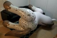 China Customized PVC Inflatable Giant Horse Model 2m for Zoo Decoration Advertising for sale