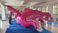 China BeiLe Custom 0.4mm PVC Inflatable Pink Wyvern Squeak Toy 3m to 5.5m for sale