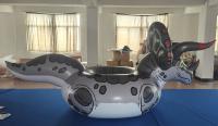 China BeiLe Inflatable Squeak Triceratops Giga Tube 3m 4m Custom PVC Dinosaur Toy for sale