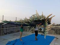 China BeiLe custom soft pvc Inflatable Mistlong squeak dragon for sales for sale