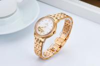 China Luxury women automatic mechanical stainless steel chain wrist watches for sale