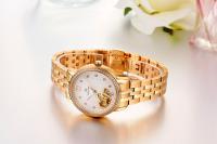 China Luxury women automatic mechanical stainless steel chain wrist watches for sale