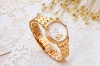 China Luxury women automatic mechanical stainless steel chain wrist watches for sale
