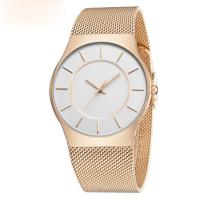 China Business Mineral Glass Mesh Strap Watch Gold Plated , Customized Color for sale