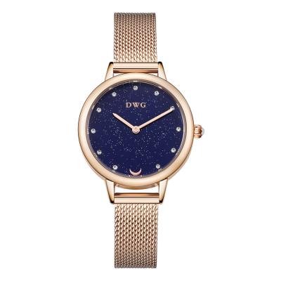 China Classic High Accuracy Quartz Watches Metal Alloy Case Sky Dial 12 Month Guarantee for sale