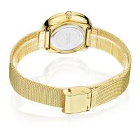China Fashion Reflected Stainless Steel Shiny Sunray Womens Watches for sale