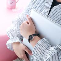China SS Back Waterproof 3ATM BSCI Japan Movt Quartz Wristwatch for sale