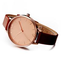 China 3ATM Waterproof Alloy Quartz Watch Small Size Genuine Leather Strap Watch for sale