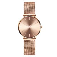 China Mesh Stainless Steel Band Waterproof Women Luxury Watch With Sunray Dial for sale