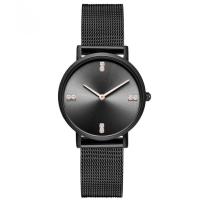China Quick Release Mesh Band Quartz Stainless Steel Watch PVD Black Water Resistant for sale
