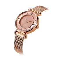 China IP Rose Gold Waterproof 28mm Alloy Quartz Watch Ladies Mesh Band for sale